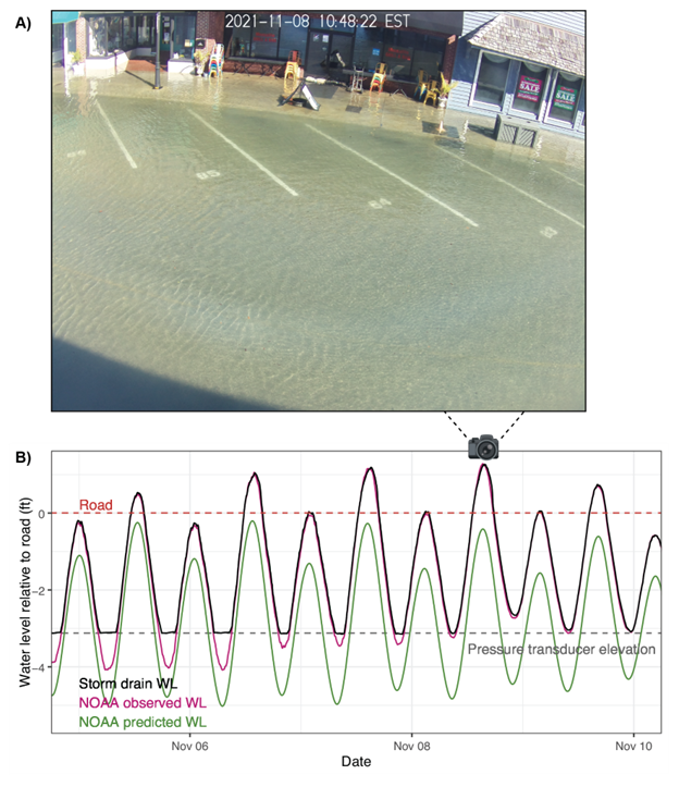 Research update: How does chronic shallow flooding affect coastal ...